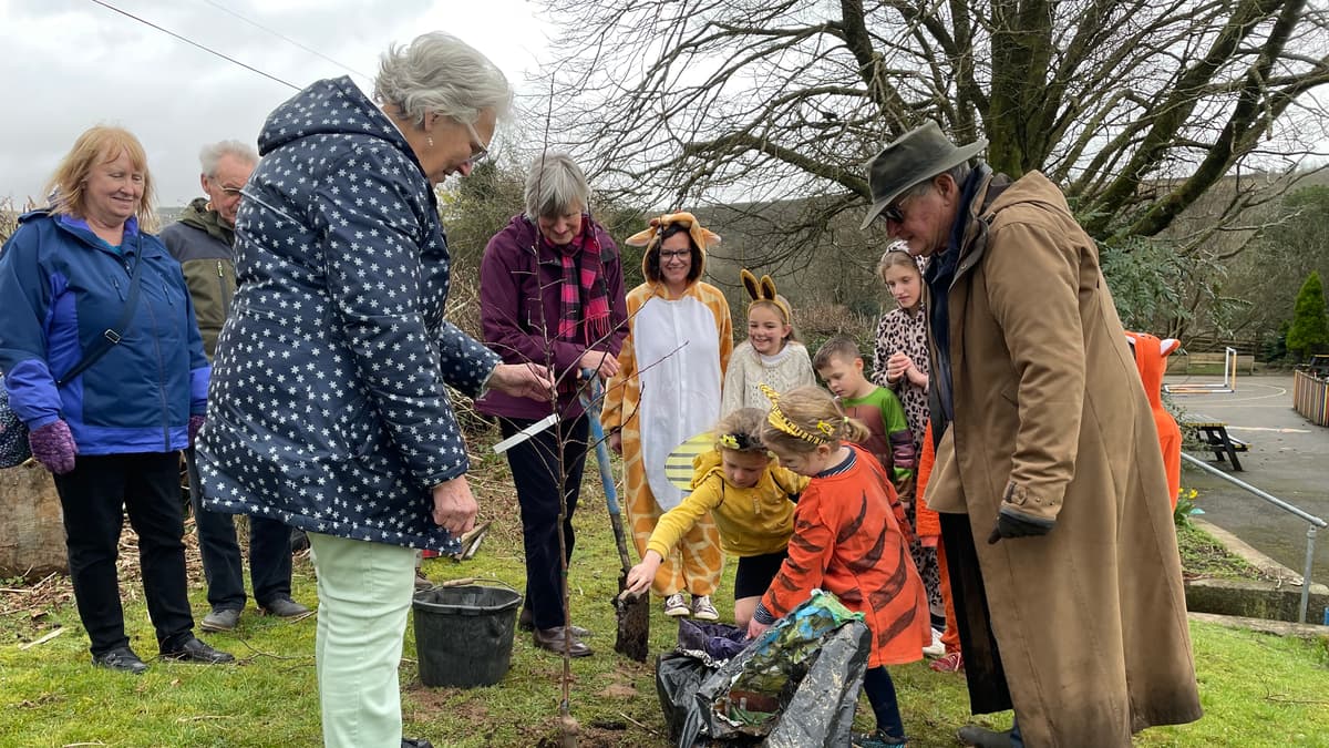Meavy Garden Society’s 60th birthday tree planting | tavistock-today.co.uk