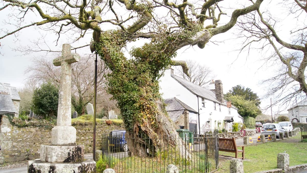 Dartmoor author who brings gentle nostalgia to tales of village life ...