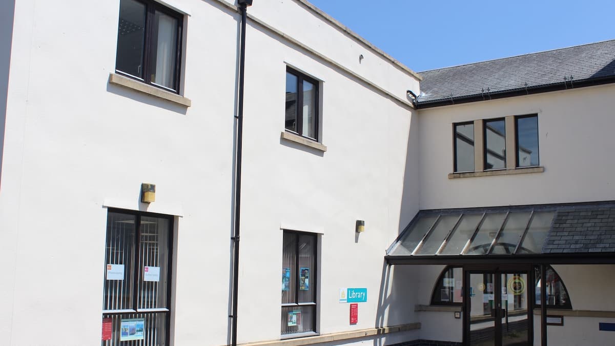 Drawn to the Valley holds exhibition at Tavistock Library | tavistock ...