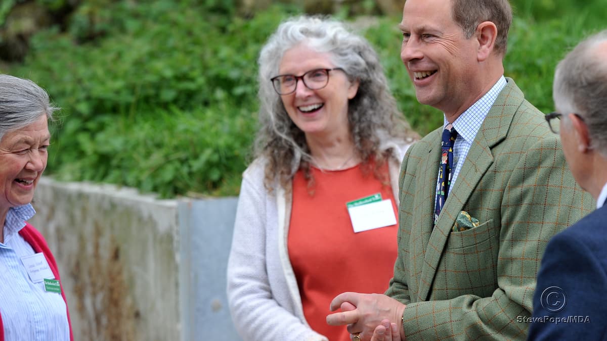 Shallowford Farm invites public to join 50th birthday celebrations ...
