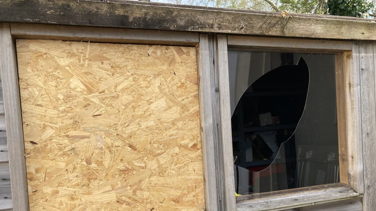 Tavistock councillor Debo Sellis offers funding to help vandal-plagued ...