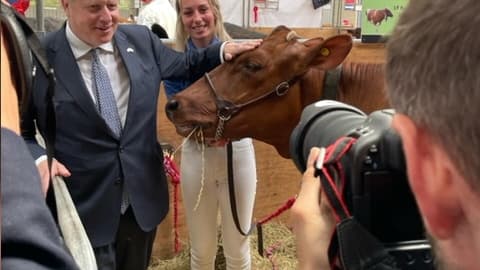 Abi and her champion cow get a surprise visit from the PM | tavistock ...