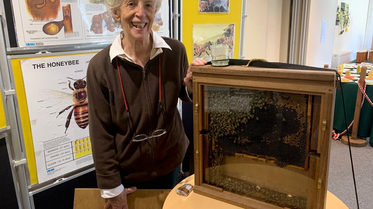 Honey fair returns to Callington after covid break | tavistock-today.co.uk