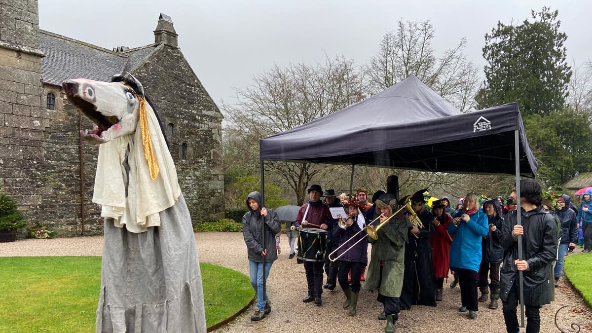 Wassailing at Cotehele: Crowds turn out for ceremony to bless trees for ...