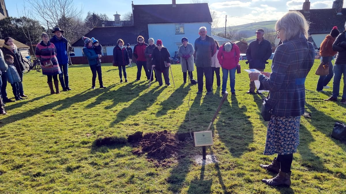 Landmark tree to commemorate the Queen | tavistock-today.co.uk