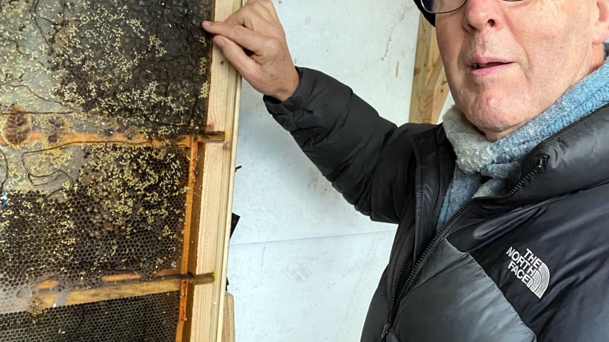 Tavistock beekeeper teaching his craft to save the world | tavistock ...