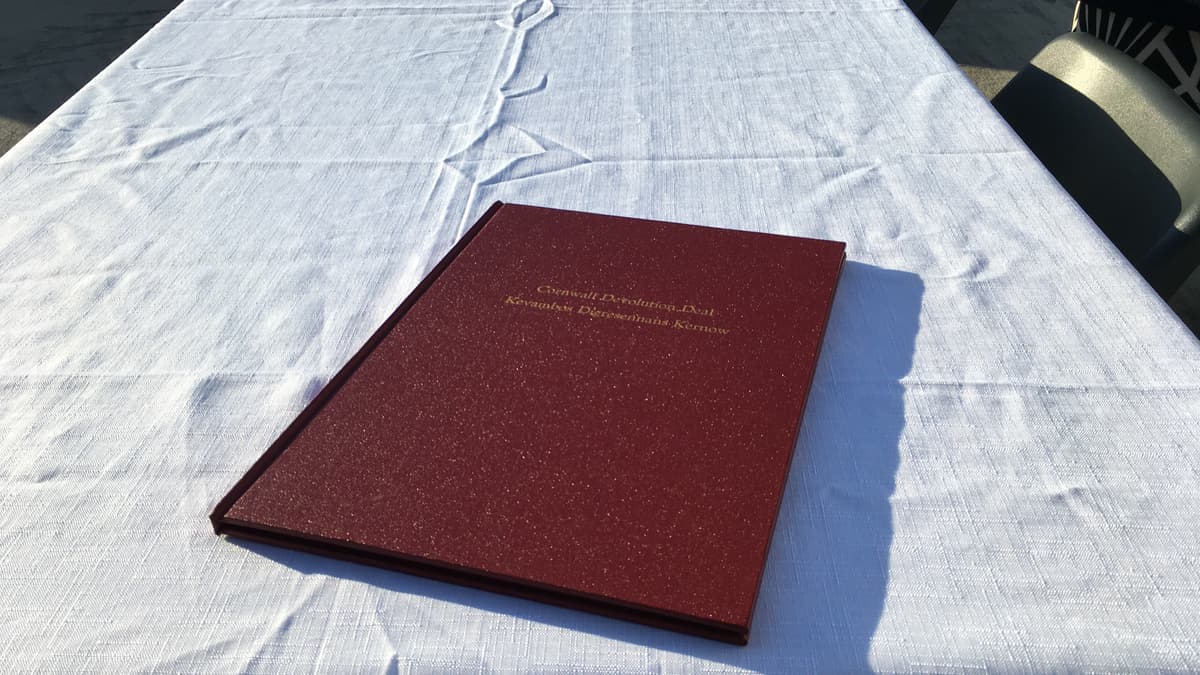 Last chance to have you say on Cornwall Devolution Deal | tavistock ...