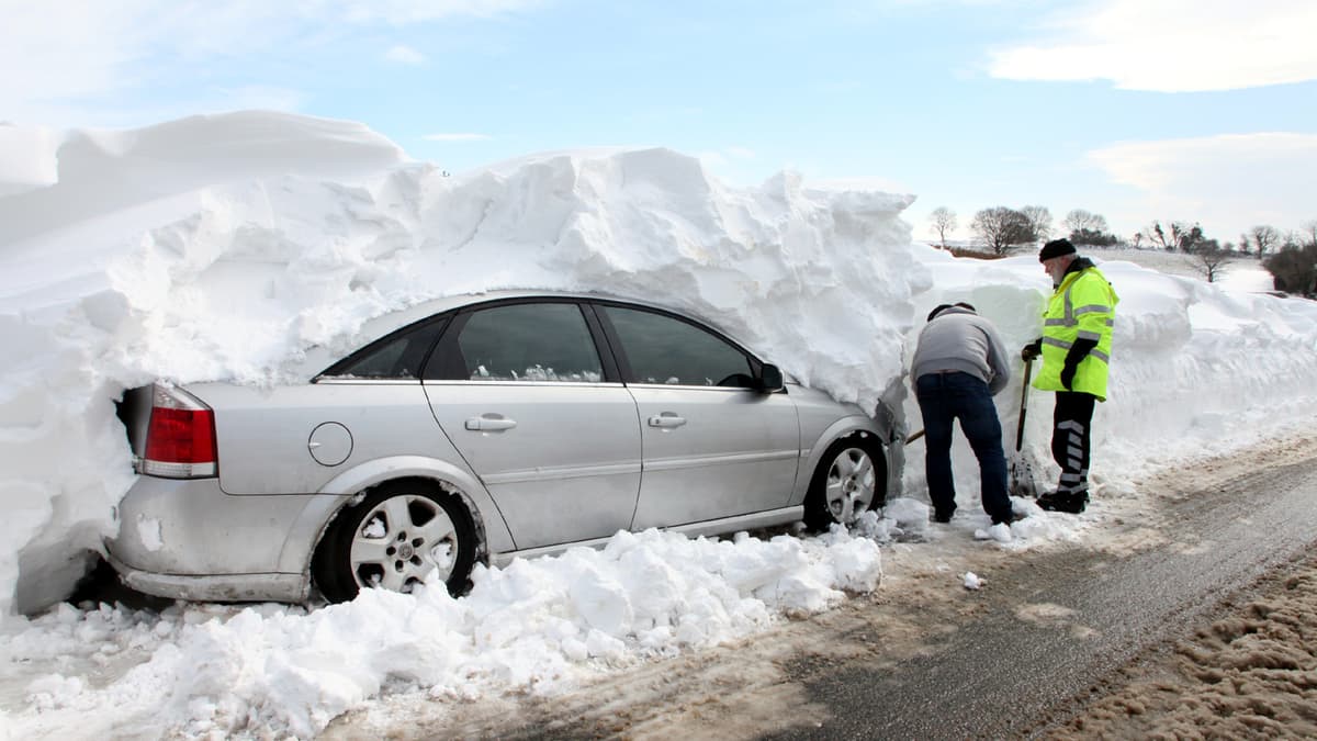 FIVE YEARS AGO: The Beast from the East 2018 in West Devon | tavistock ...