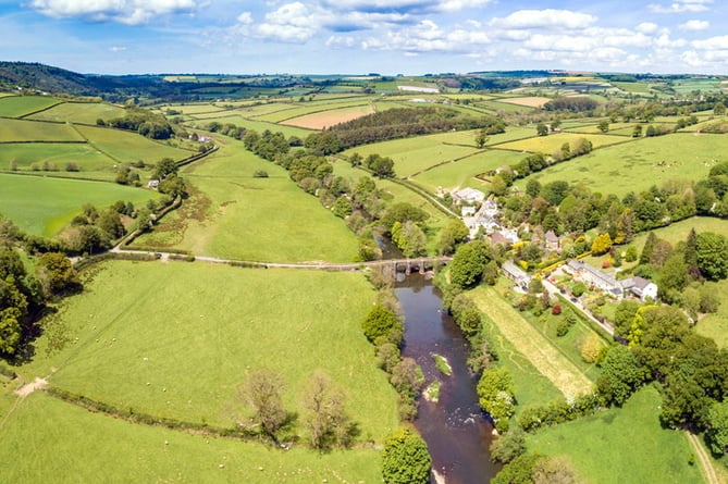 River Tavy celebrated with festival | tavistock-today.co.uk
