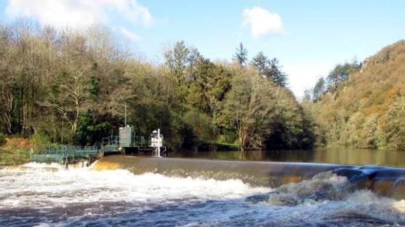Gunnislake project to protect rare fish | tavistock-today.co.uk