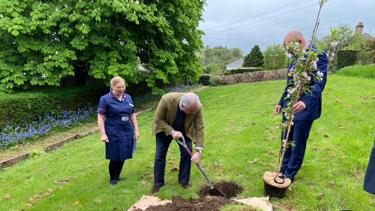 Video story: Sir Geoffrey Cox leads tree planting ceremony at Tavistock ...
