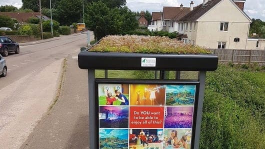 Bus shelters with 'living roofs' coming to town | tavistock-today.co.uk