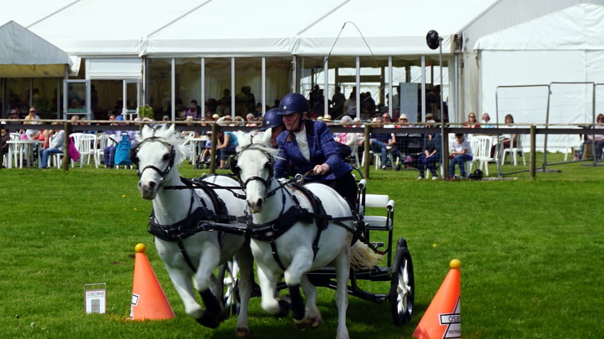 LIVE: Day two at the Devon County Show | tavistock-today.co.uk