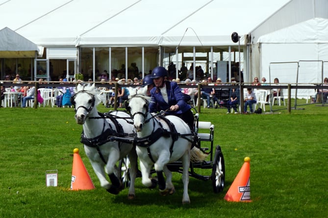 LIVE: Day two at the Devon County Show | tavistock-today.co.uk