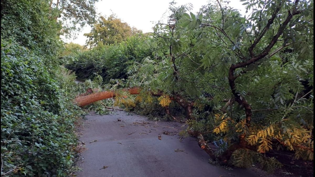 Highways teams thanked for swift clear-up after Storm Antoni ...