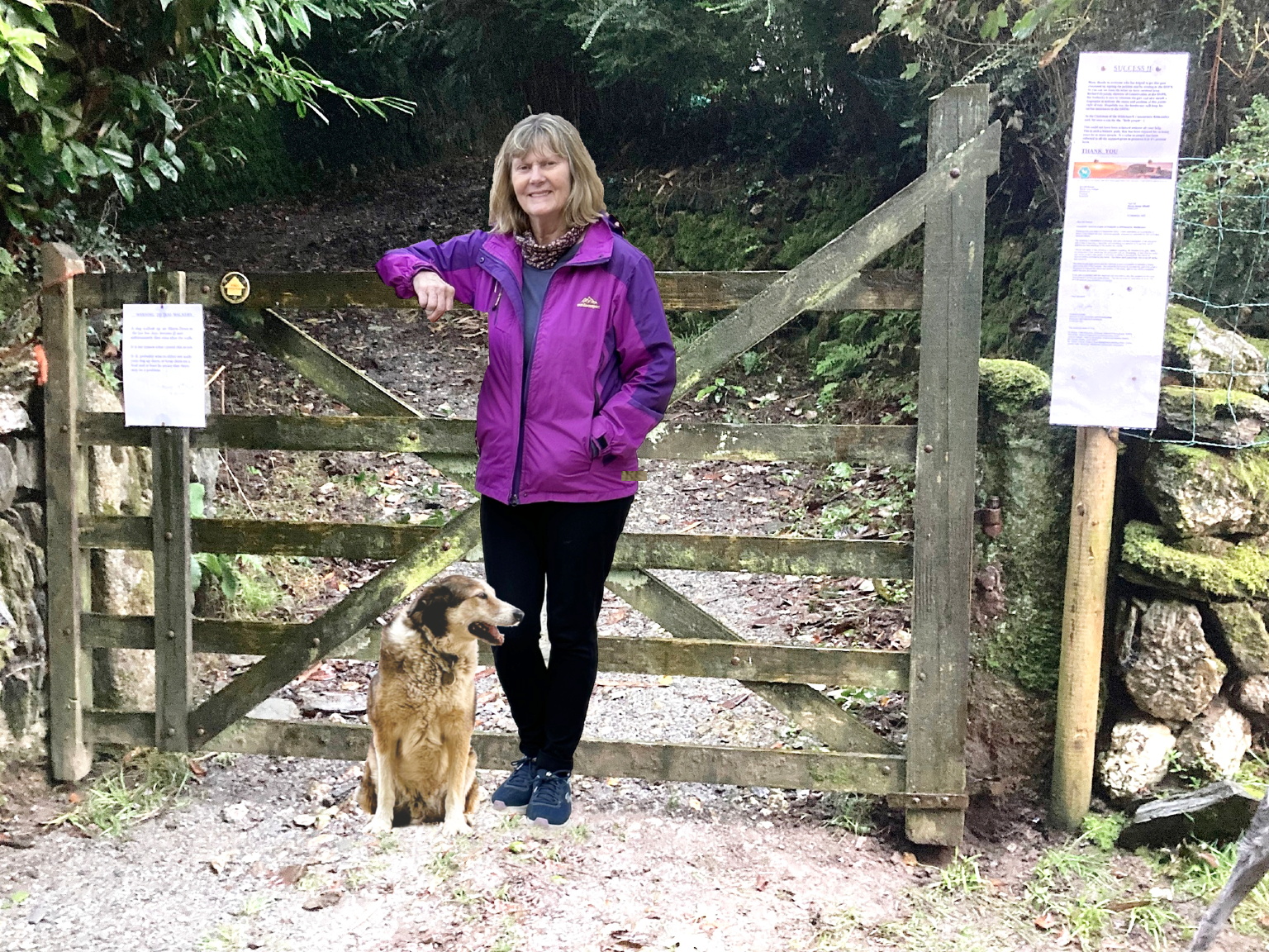 Moor gate back in original place | tavistock-today.co.uk