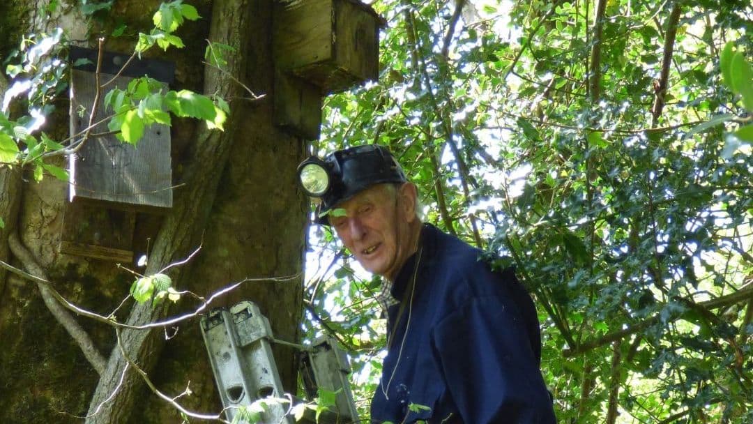 Father and son both rewarded in King's Birthday Honours | tavistock ...