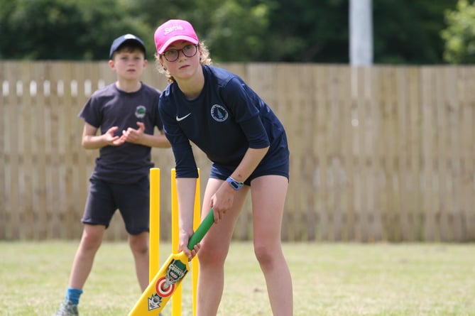 West Devon Primary Schools Cricket Competition comes to a close ...