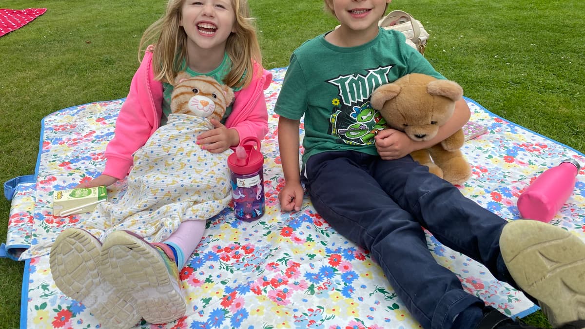 They all went down to the woods to play | tavistock-today.co.uk