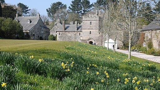 Plans to make Cotehele more accessible | tavistock-today.co.uk
