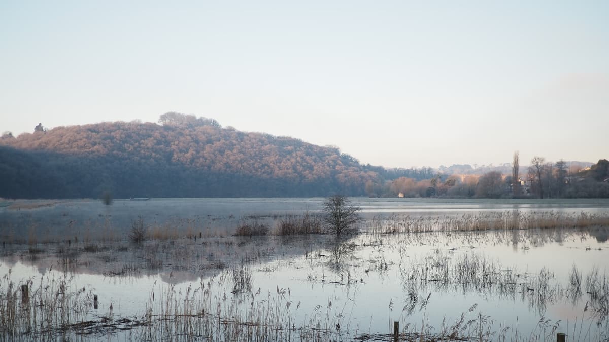 Calstock wetland project completed | tavistock-today.co.uk