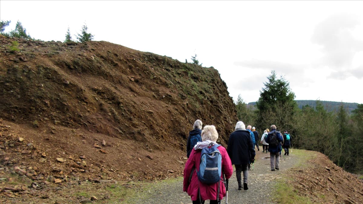 Organised walks explore the autumnal landscape of Tamar Valley ...