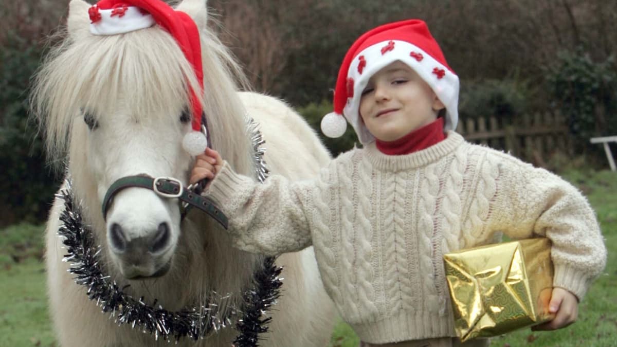 Dartmoor pony festive ride | tavistock-today.co.uk