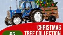 Christmas trees collected for Tavistock Young Farmers | tavistock-today ...