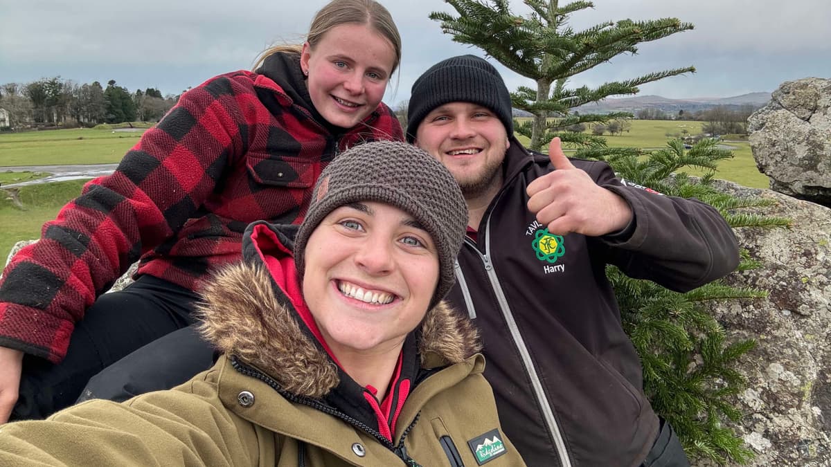 More than £1,000 raised with young farmers' Christmas tree collection ...