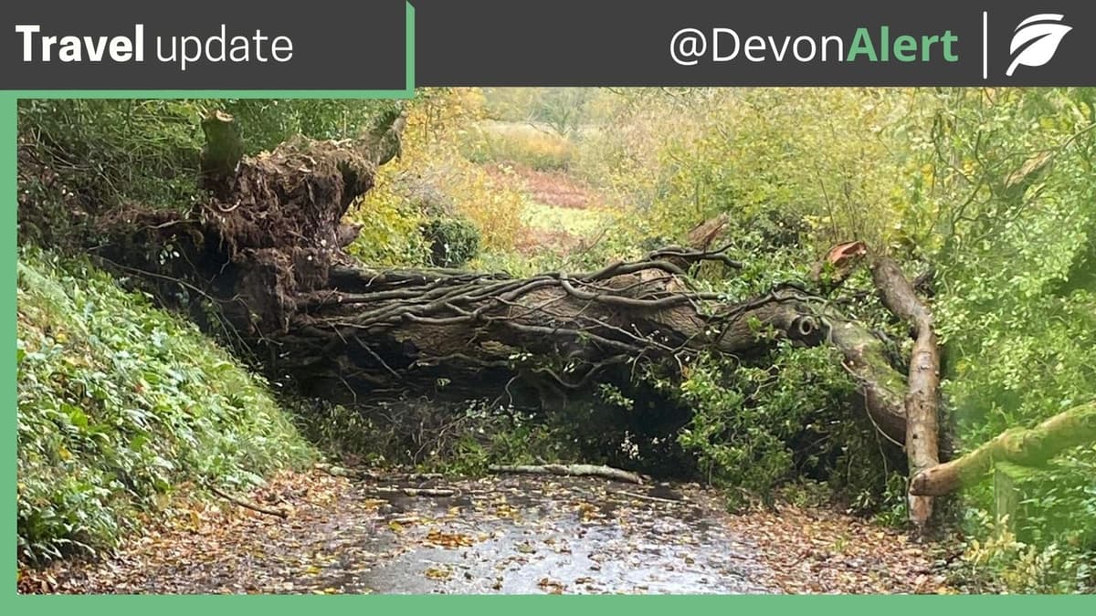 Latest Storm Eowyn updates for Devon | tavistock-today.co.uk