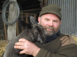 Devon hounds invade conservation project | tavistock-today.co.uk