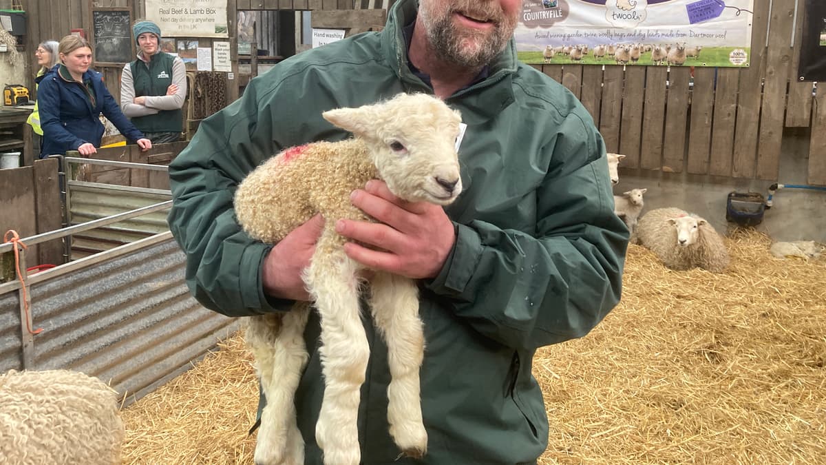 Dog attack law change welcomed on Dartmoor | tavistock-today.co.uk