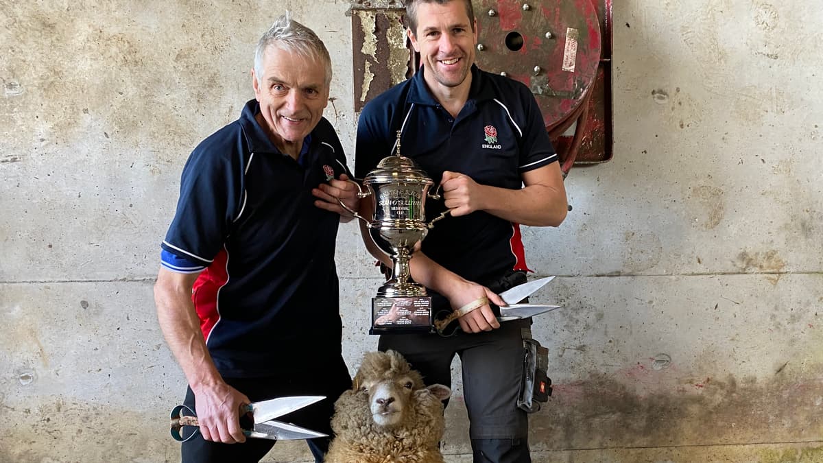 Tavistock sheep shearers at the world's cutting edge | tavistock-today ...