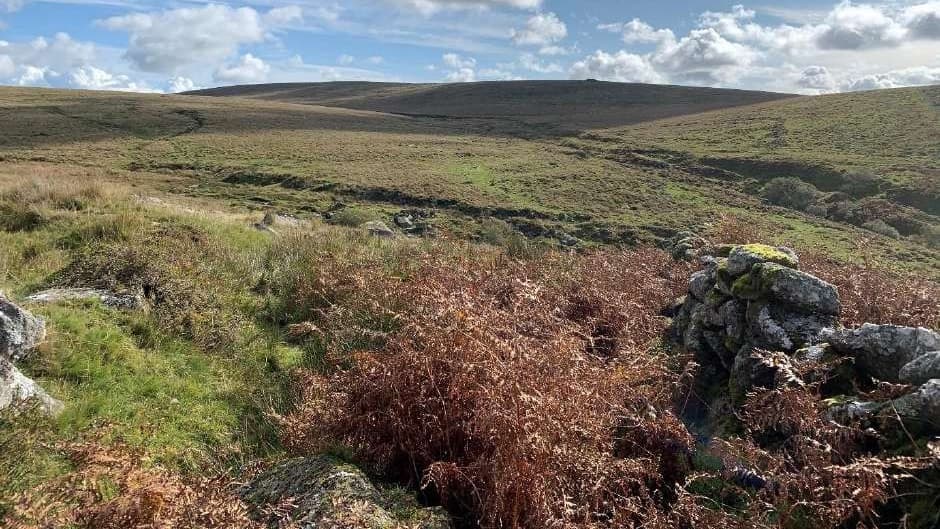 Walkhampton Common is made official | tavistock-today.co.uk