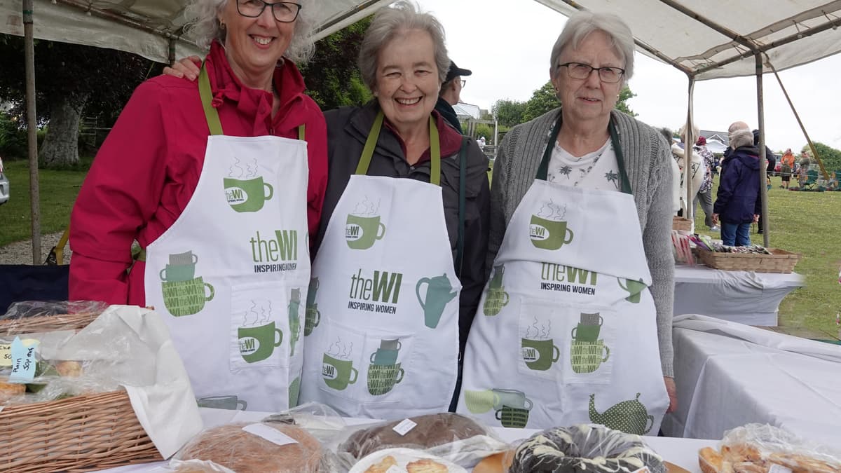 Bere Alston Fun Day a success | tavistock-today.co.uk