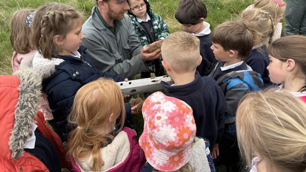 Charity invites local pupils to explore Nethercott Farm | tavistock ...