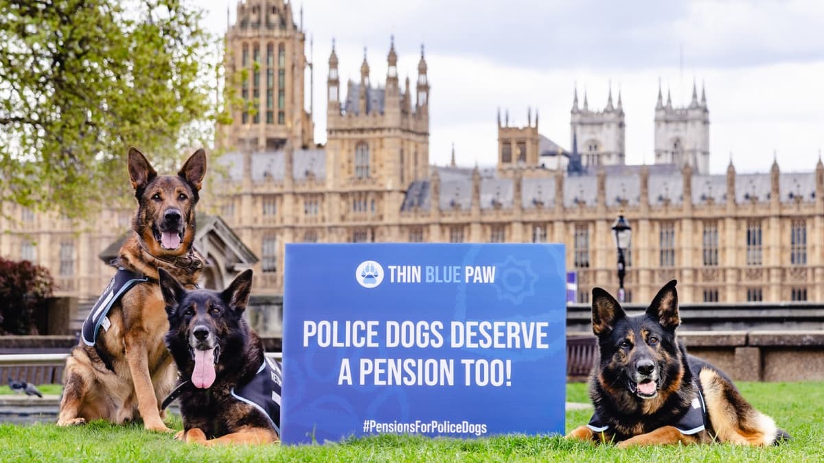 Ruff justice for retired police dogs | tavistock-today.co.uk