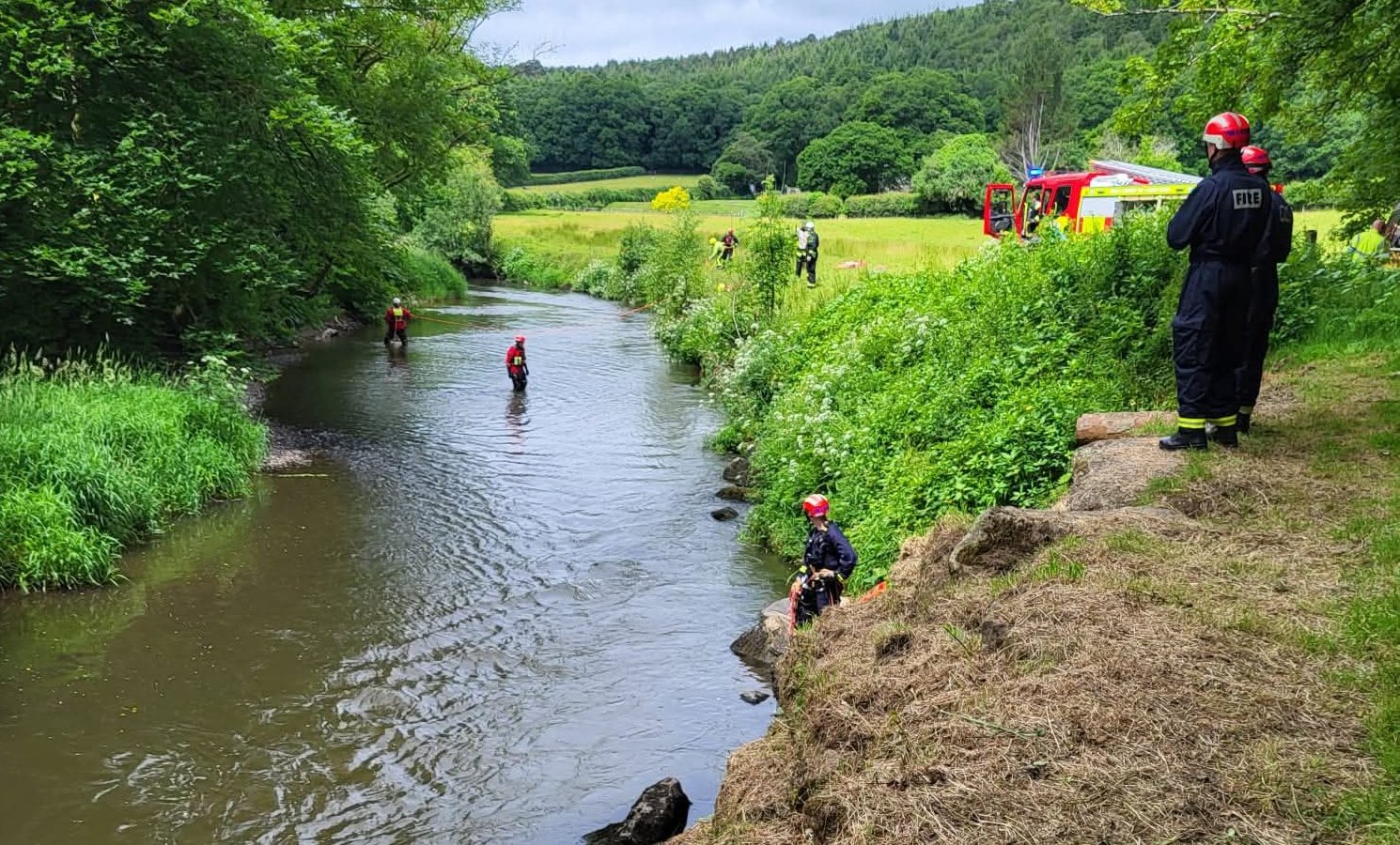 Gulworthy sheep rescue by fire crews | tavistock-today.co.uk