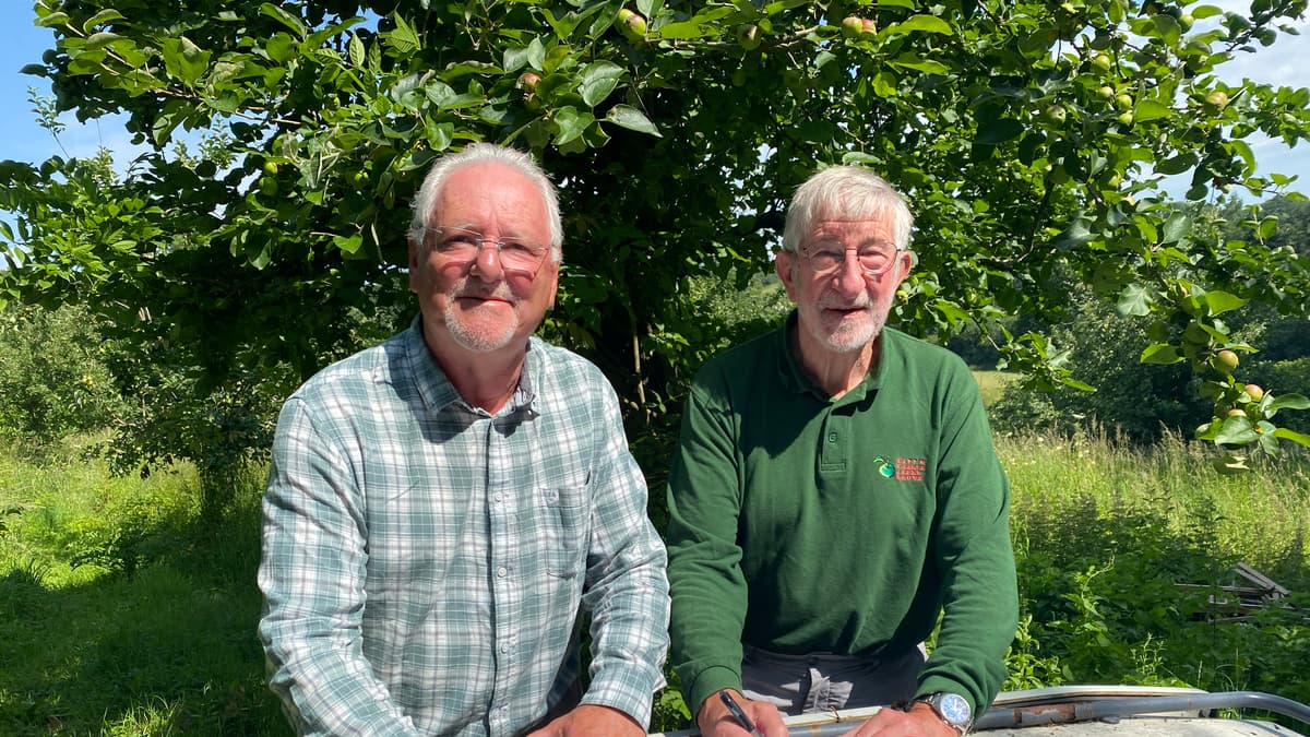Bere Ferrers orchard has a fruitful future | tavistock-today.co.uk