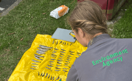 River Lew pollution alert: Pet owners warned as fish die | tavistock ...