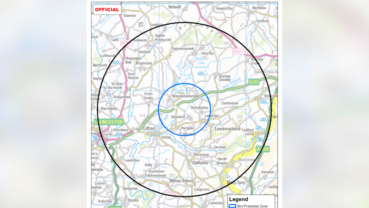 Avian flu warning issued in West Devon and North Cornwall | tavistock ...