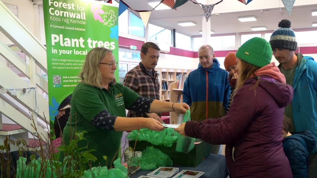Forest for Cornwall tree giveaway at Callington’s Honey Fair ...