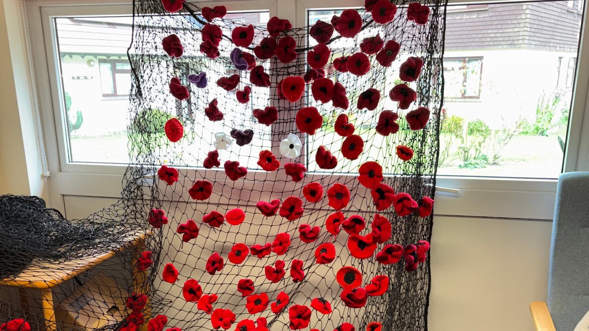 Okehampton knitting group creates over 400 poppies for Remembrance Day ...