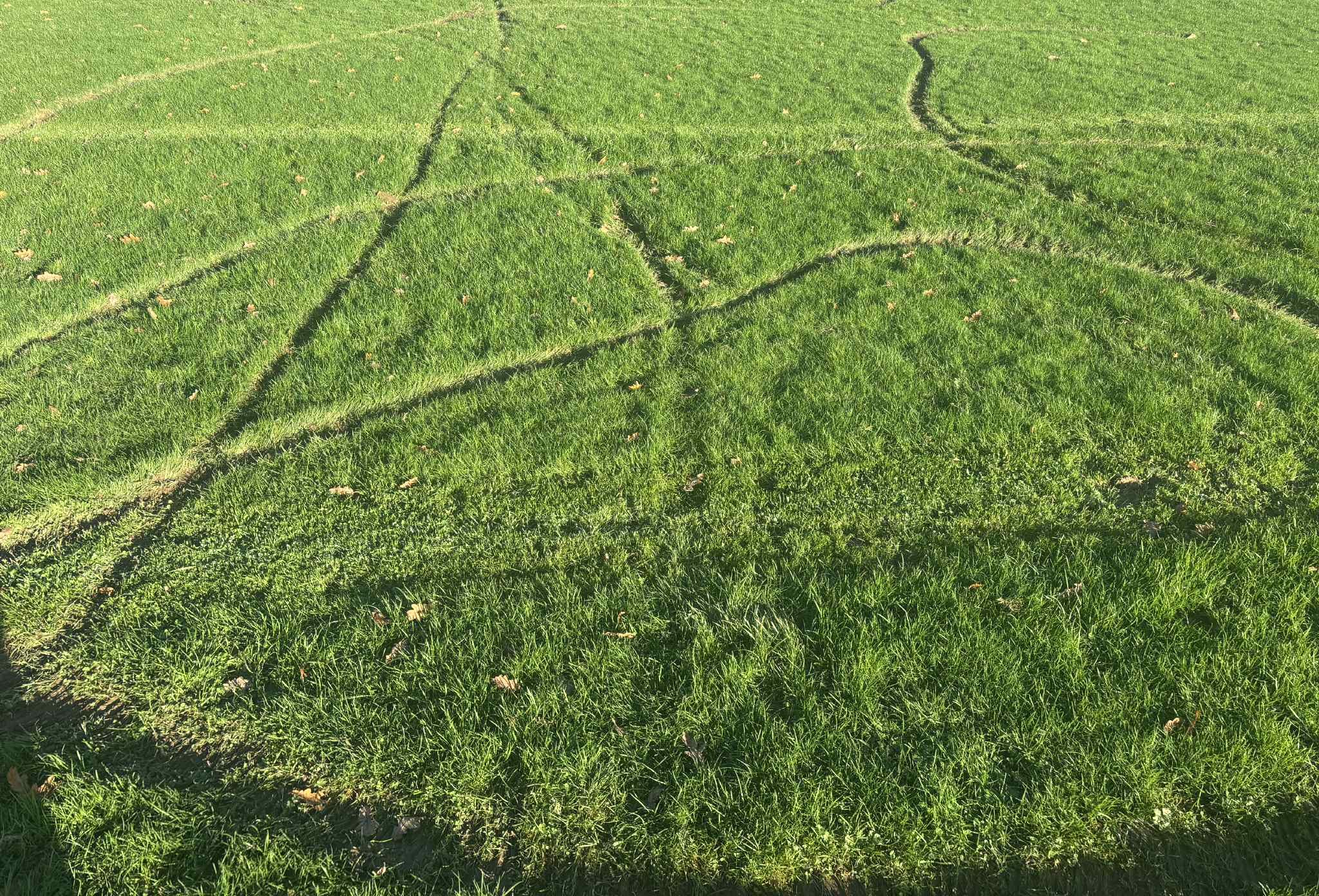 Horrabridge residents action call after sports field vandalism ...