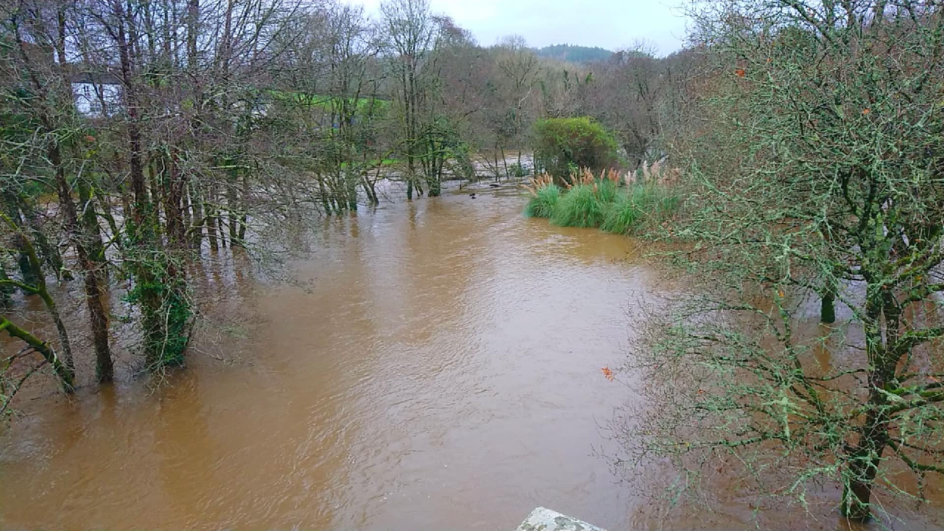 WATCH: Gunnislake river flood | tavistock-today.co.uk