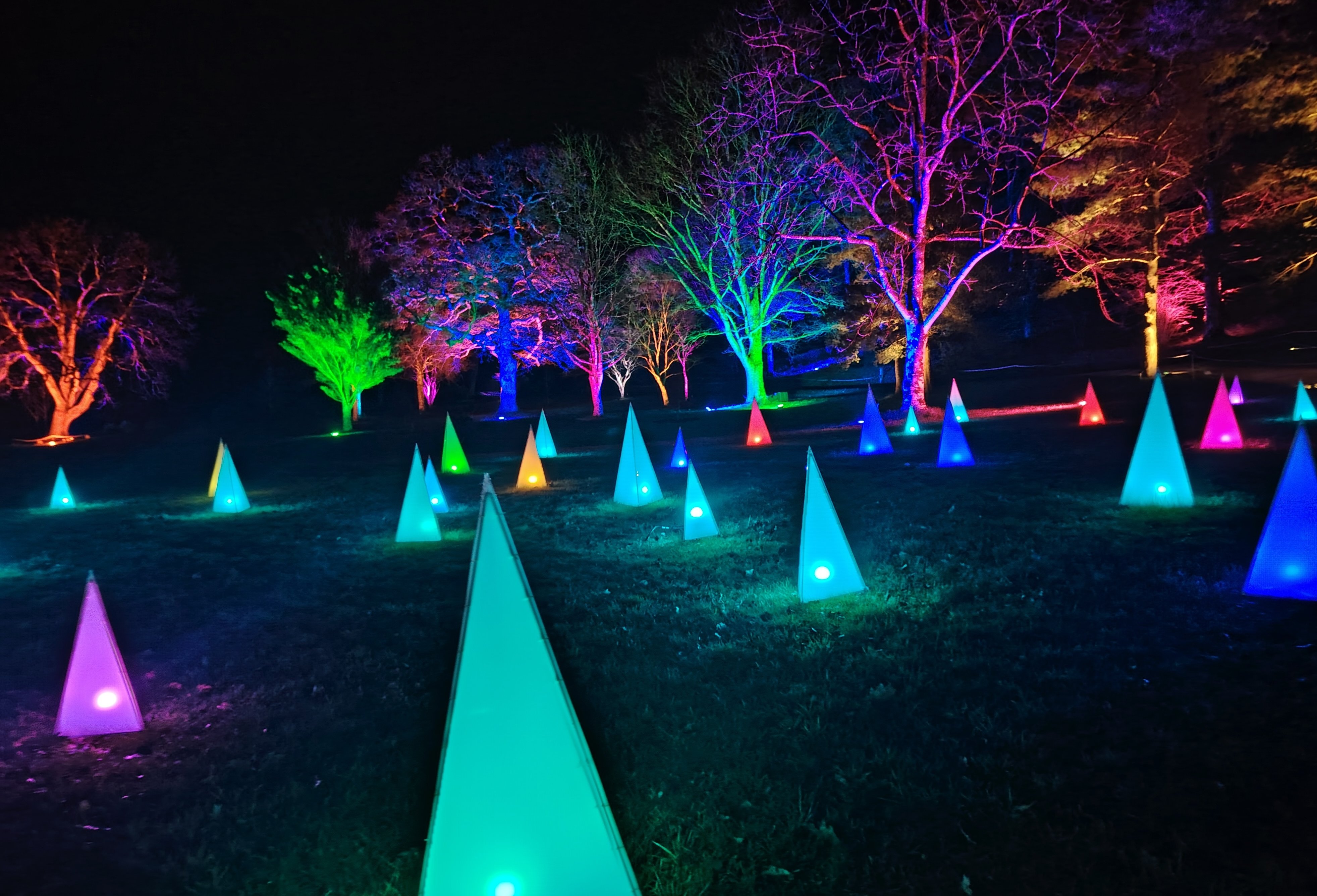 Famous RHS Rosemoor garden light show entrances | tavistock-today.co.uk