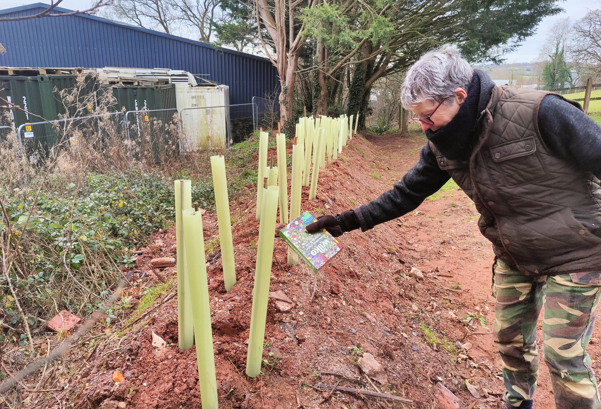Hatherleigh residents boost wildlife with wildflowers and Devon hedge ...