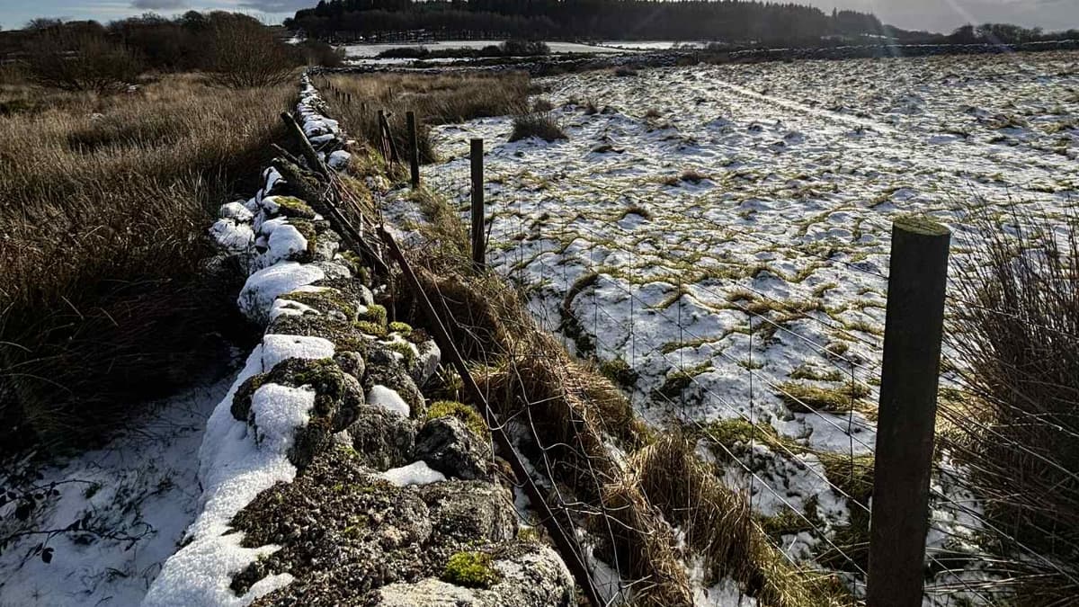 Black ice and frozen snow causes traffic delays in West Devon ...