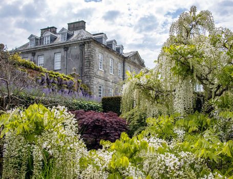National Trust to open secret Cornish garden for two weeks | tavistock ...
