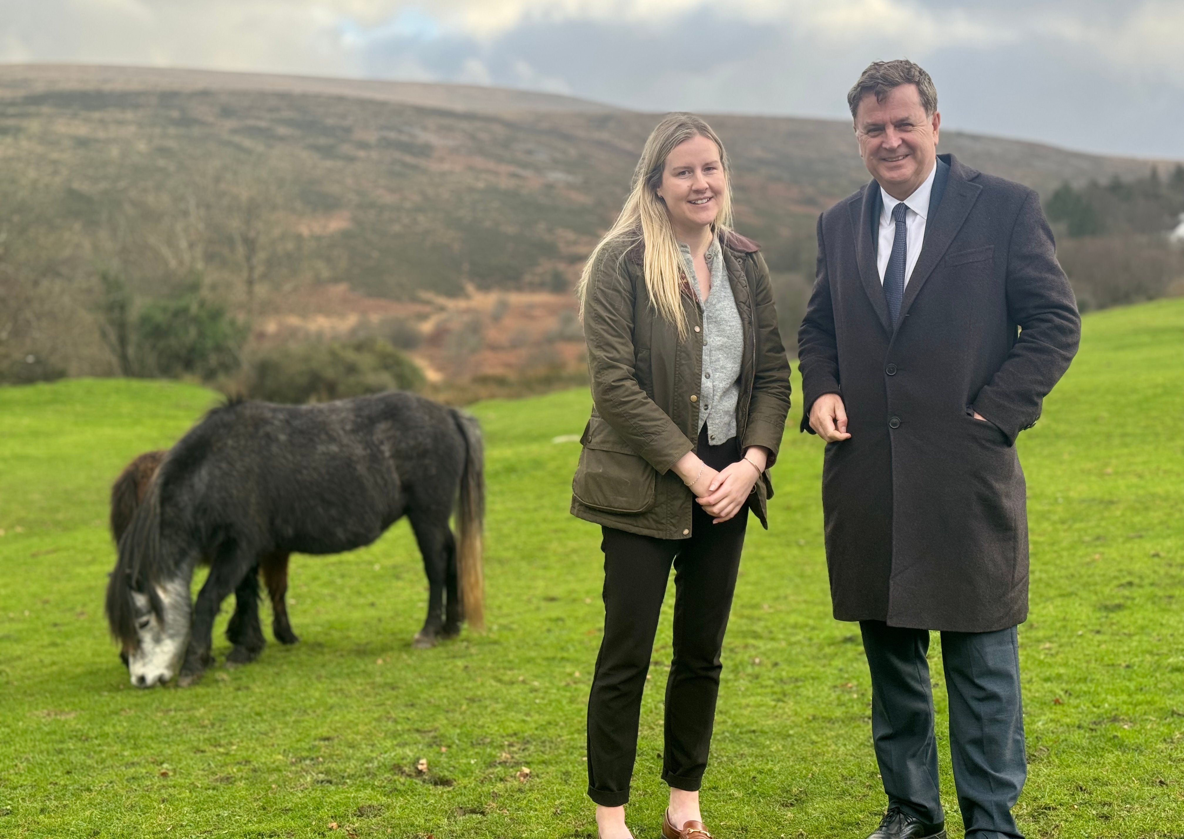 Central Devon MP describes pony threat as 'total madness' | tavistock ...